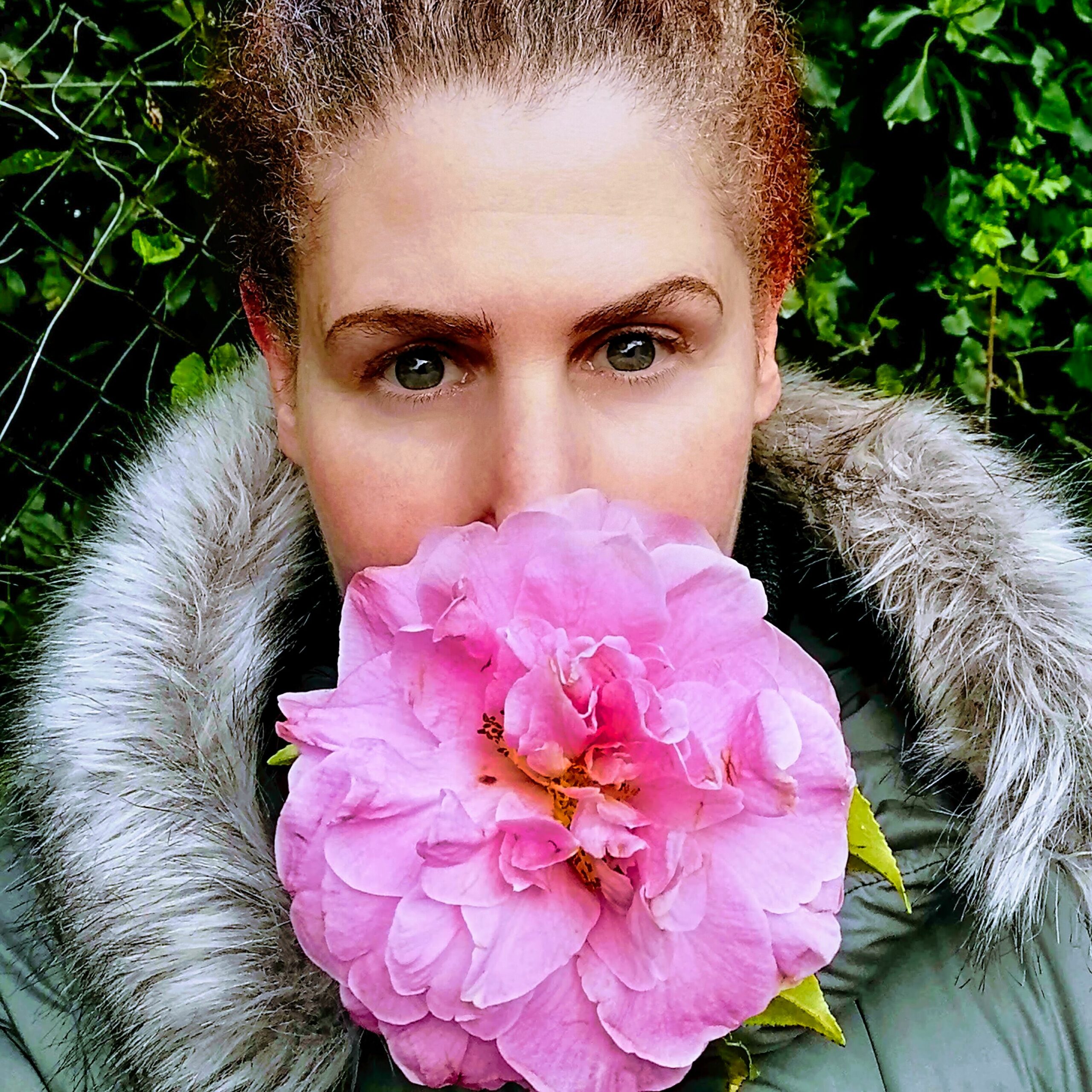 Growing Roses - Raphaela Gilla